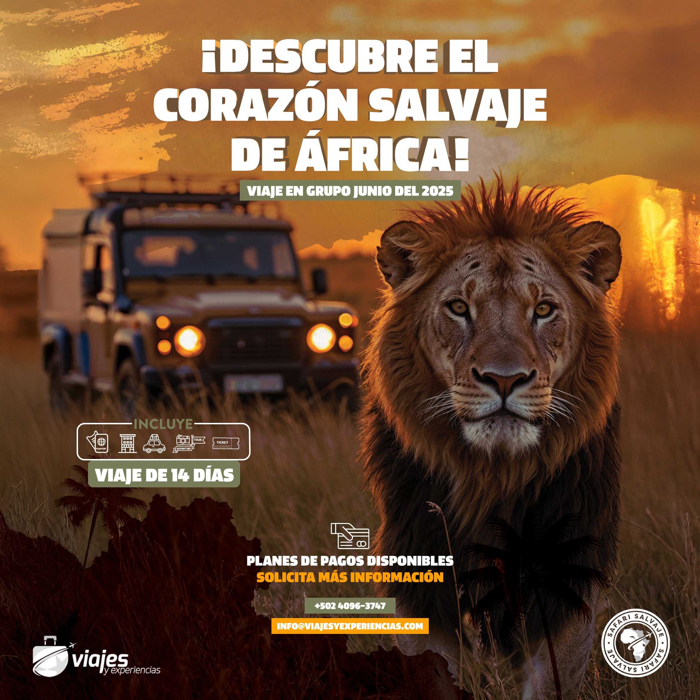 Paquete Safari Salvaje África 2025 – Viajes y Experiencias
